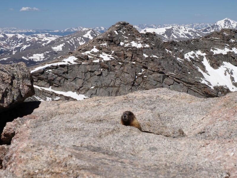 From Denver: Trip to Mount Blue Sky Summit and Glacial Lake - Returning to Denver