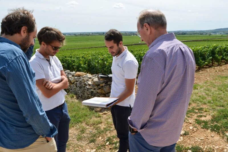 From: Dijon/Beaune: Burgundy Region Winery Tour with Lunch - Key Points