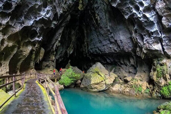 From Dong Hoi: Dark Cave and Phong Nha Cave Tour with Lunch - Key Points