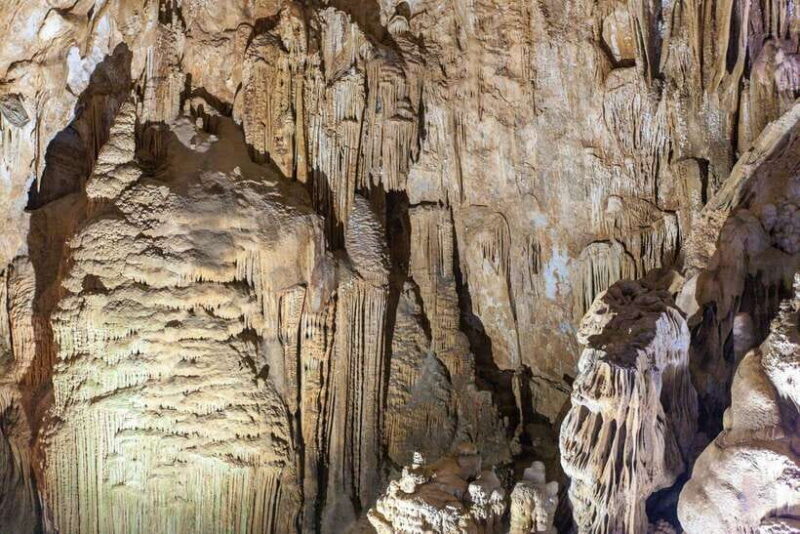 From Dong Hoi: Paradise and Phong Nha Caves Guided Tour - From Dong Hoi: Paradise and Phong Nha Caves Guided Tour — An In-Depth Review