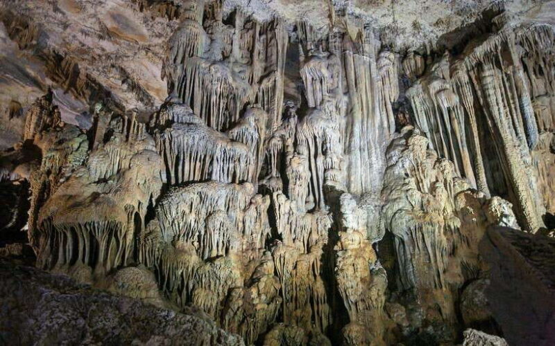From Dong Hoi: Paradise and Phong Nha Caves Guided Tour - FAQs