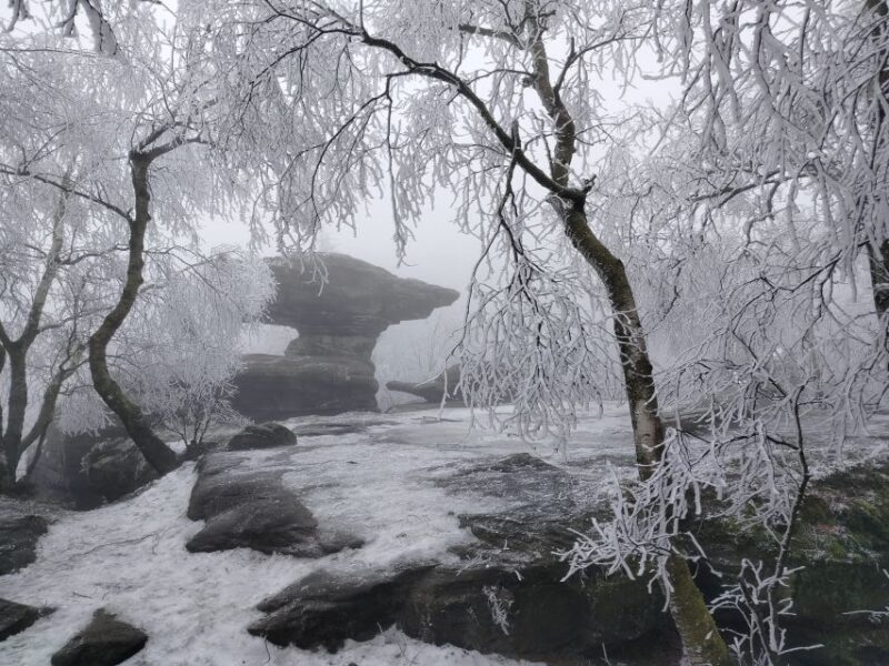 From Dresden: Bohemian & Saxon Switzerland Day Trip - Who This Tour Is Best For