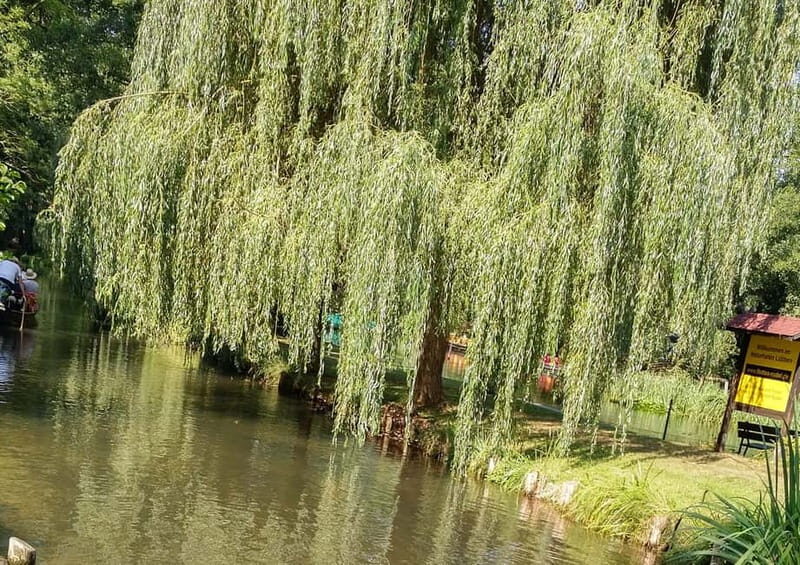 From Dresden: Day Trip to The Spreewald - The Sum Up: Who is This Tour For?
