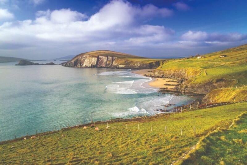From Dublin: 3-Day Dingle, Killarney & the Wild Atlantic Way - Key Points