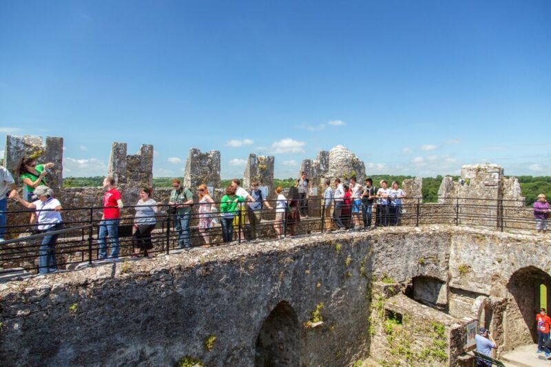 From Dublin: Blarney, Rock of Cashel and Cahir Castles Tour - Who Should Consider This Tour?