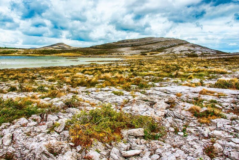 From Dublin: Cliffs of Moher, Burren & Galway City Day Tour - Key Points