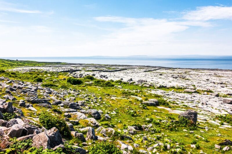 From Dublin: Cliffs of Moher, Burren & Galway City Day Tour - Who Should Consider This Tour?