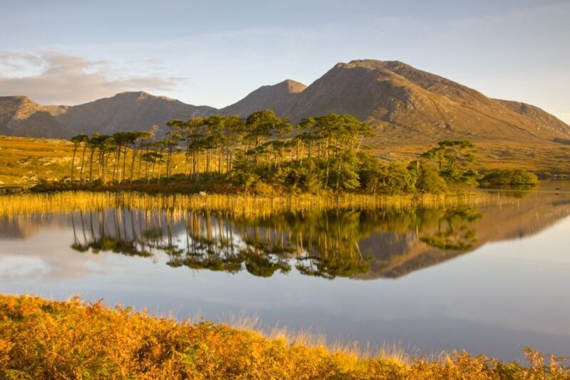 From Dublin: Connemara and Galway Full-Day Tour - Who Will Love This Tour?