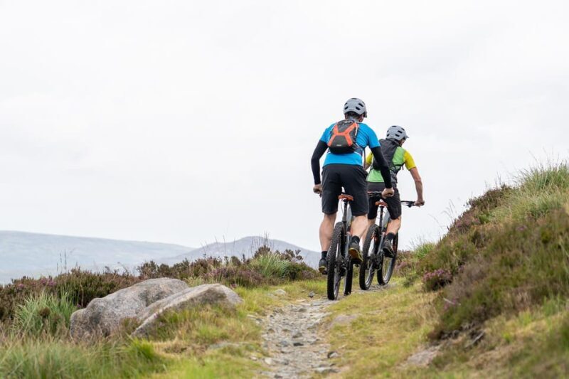 From Dublin: Electric Bike Experience - Scenic Highlights and Must-See Stops