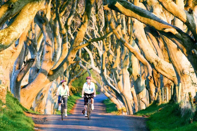 From Dublin: Giant's Causeway & Belfast Titanic with Ticket - Who Would Love This Tour?