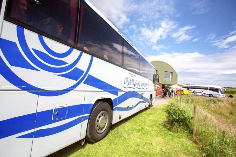 From Dublin: Giant's Causeway, Dark Hedge & Belfast Tour - Who Is This Tour Best For?