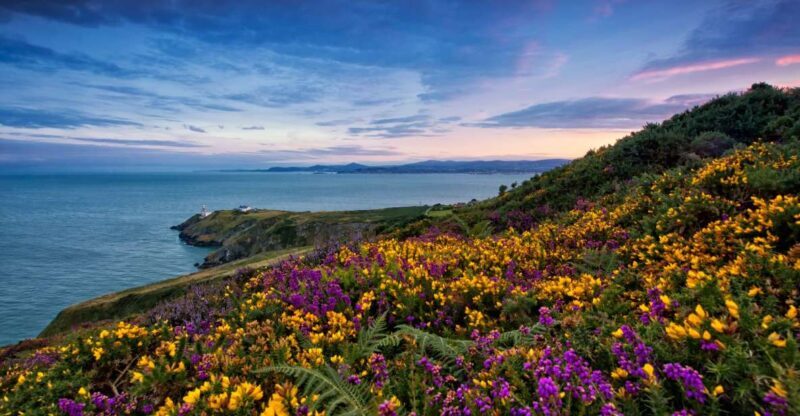 From Dublin: Half-Day Guided Coastal Tour to Howth Village - An Authentic Look at the Tour Experience