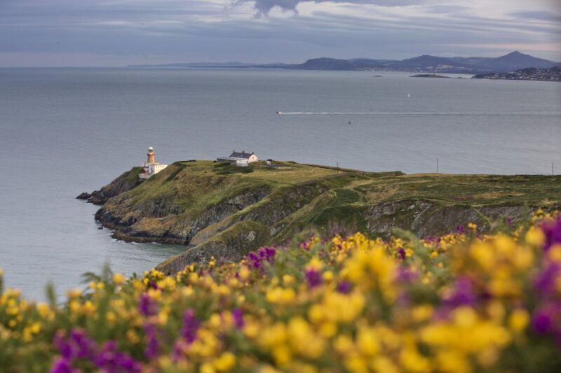 From Dublin: Half-Day Guided Coastal Tour to Howth Village - Deep Dive Into the Itinerary