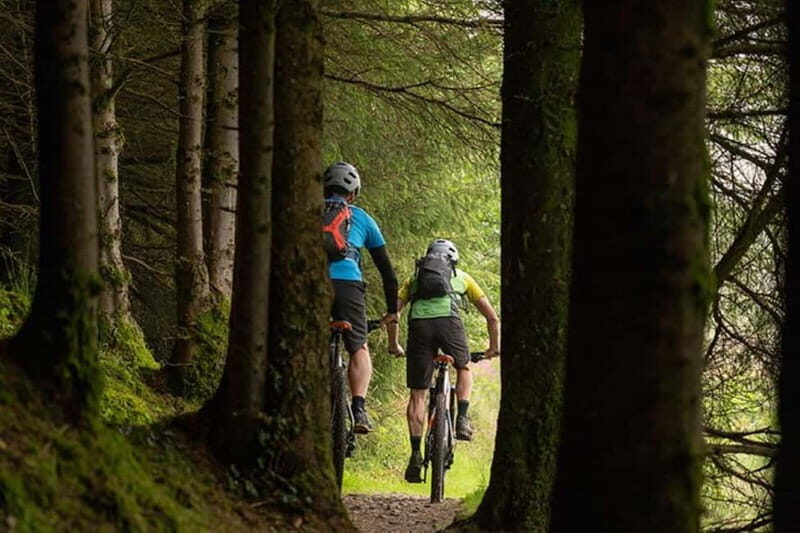 From Dublin: Mountain Bike Experience - Transport and Practicalities