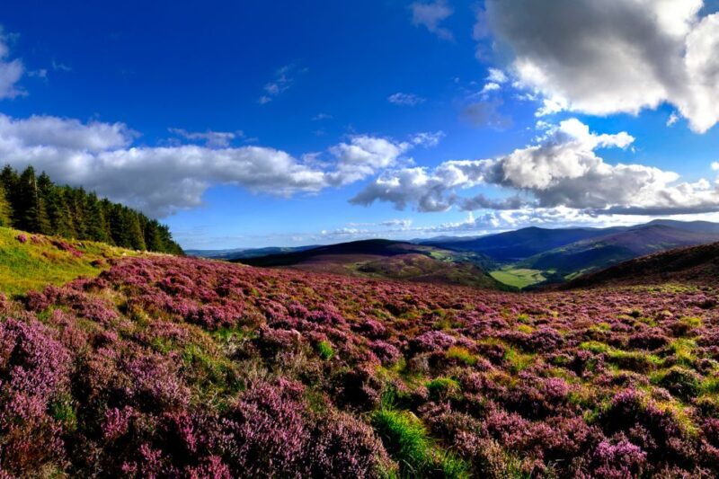 From Dublin: Wicklow Mountains, Glendalough, & Kilkenny Tour - The Itinerary in Detail