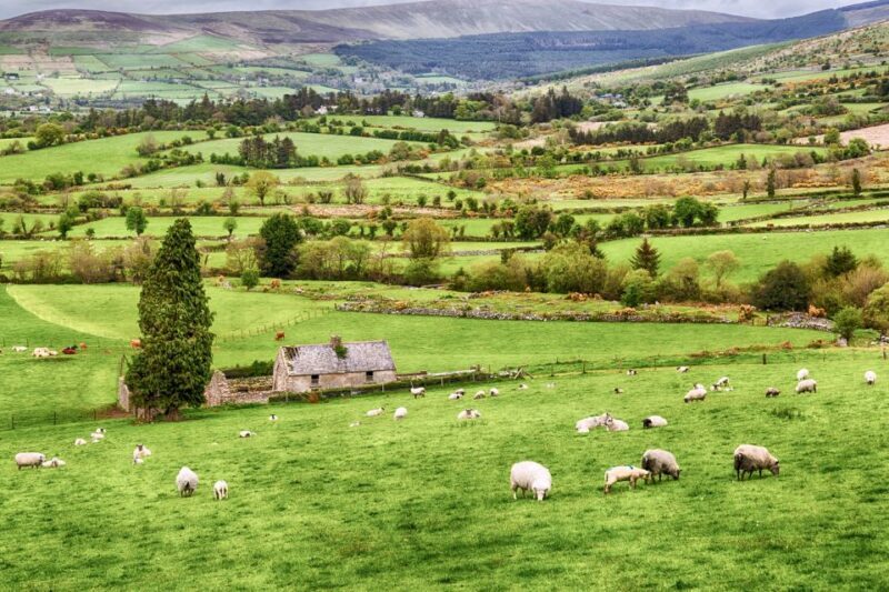 From Dublin: Wicklow Mountains, Glendalough & Kilkenny Tour - Transport and Comfort: Making the Most of It