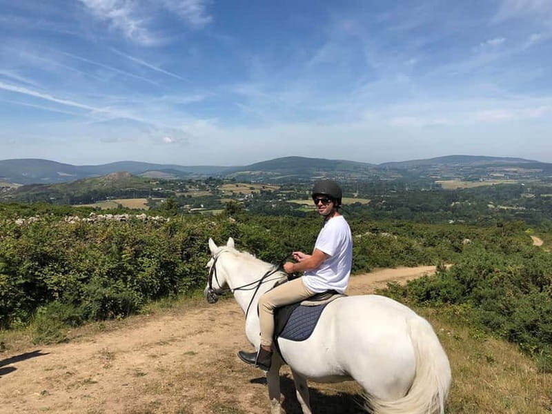 From Dublin: Wicklow, Powerscourt, and Glendalough Day Tour - An In-Depth Look at the Wicklow Day Tour
