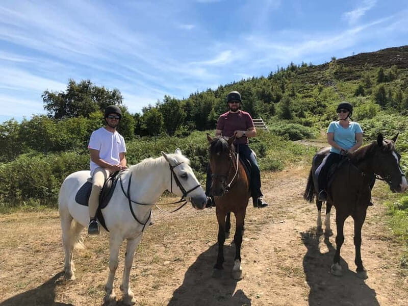From Dublin: Wicklow, Powerscourt, and Glendalough Day Tour - Final Thoughts