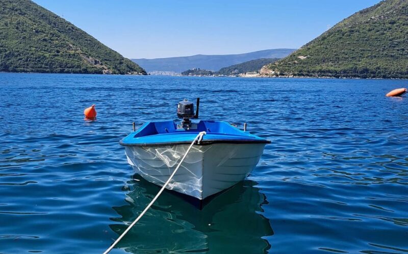 From Dubrovnik: Bay of Kotor Montenegro Private Tour - Who Will Love This Tour?