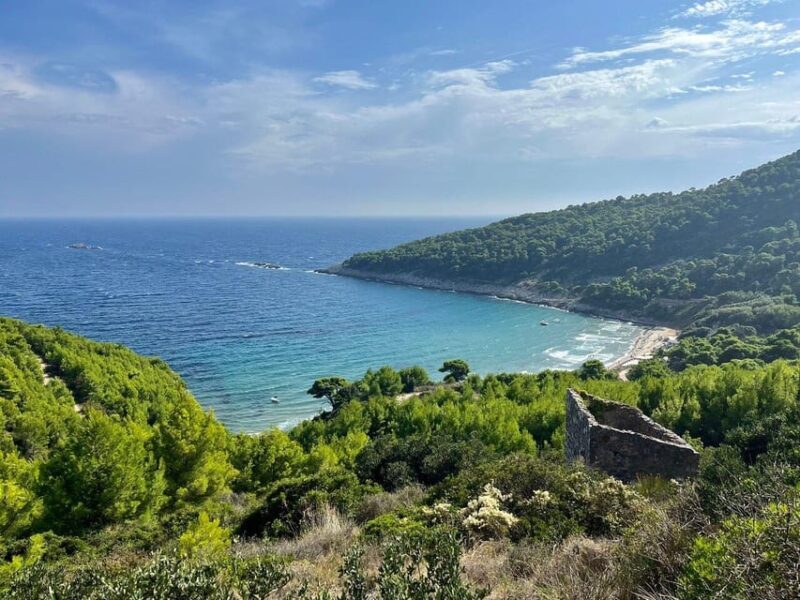 From Dubrovnik: Elaphiti Islands Galleon Cruise with Lunch - Who Will Love This Cruise?