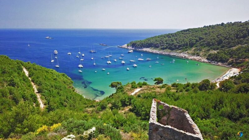 From Dubrovnik: Full-Day Private Boat Tour of Elafiti Island - The Itinerary and What to Expect