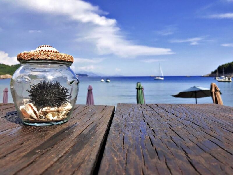 From Dubrovnik: Full-Day Private Boat Tour of Elafiti Island - Authentic Experiences as Highlighted by Reviews
