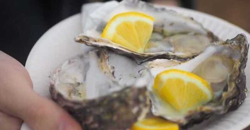 From Dubrovnik: Full-Day Tour to Ston & Oyster Tasting - An In-Depth Look at the Tour Itinerary