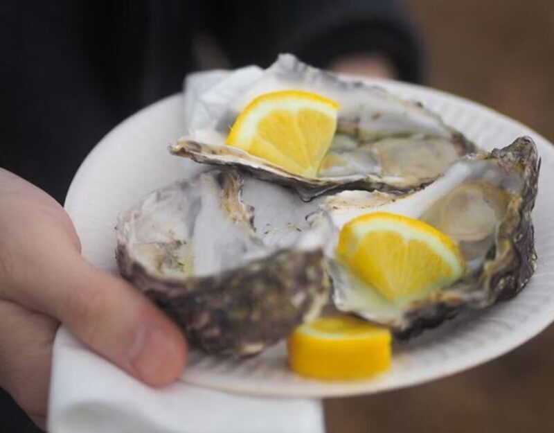 From Dubrovnik: Full-Day Tour to Ston & Oyster Tasting - Who Will Love This Tour?