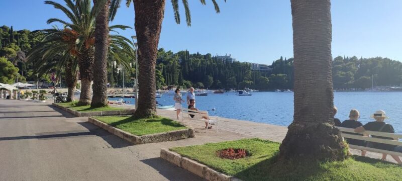 From Dubrovnik: Half-Day Wine Tasting and Cavtat City Tour - Key Points