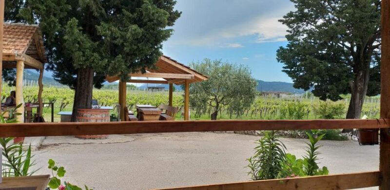 From Dubrovnik: Half-Day Wine Tasting and Cavtat City Tour - Who Should Consider This Tour?