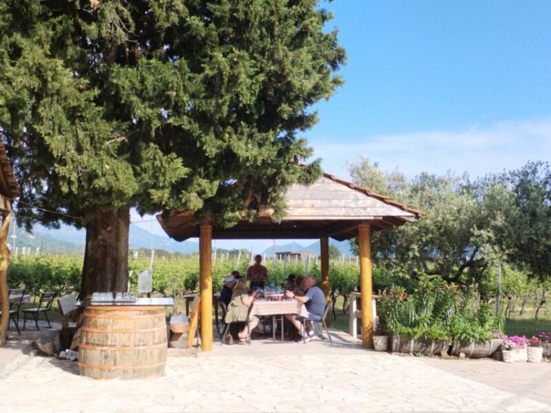From Dubrovnik: Half-Day Wine Tasting and Cavtat City Tour - FAQs