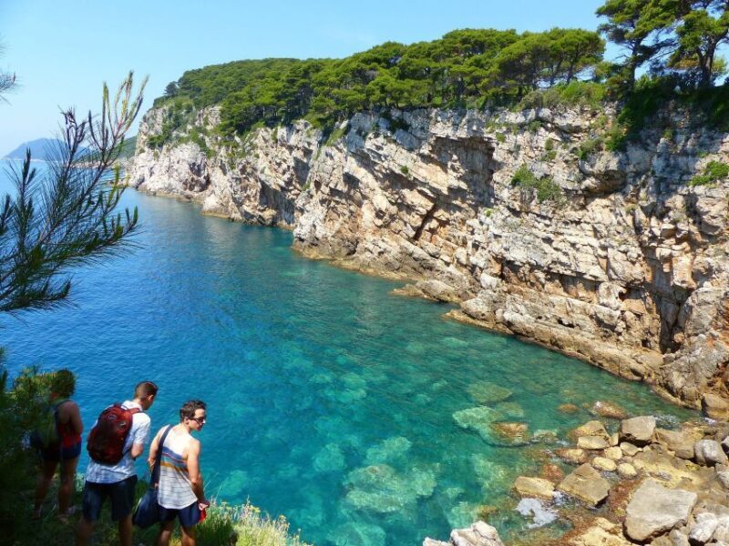 From Dubrovnik: Hiking & Swimming on Koloep Island Day Trip - Key Points