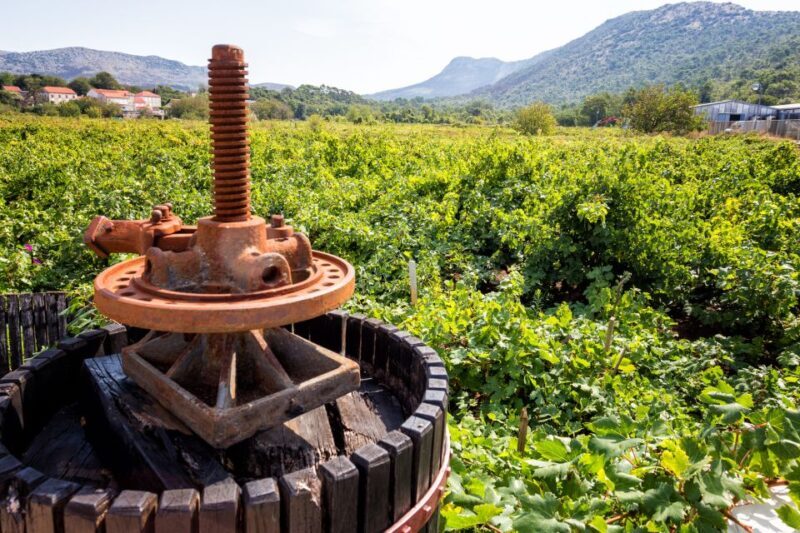 From Dubrovnik: Island of Korula with wine tasting - An Authentic Day of Croatian Charm – Island of Korcula with Wine Tasting