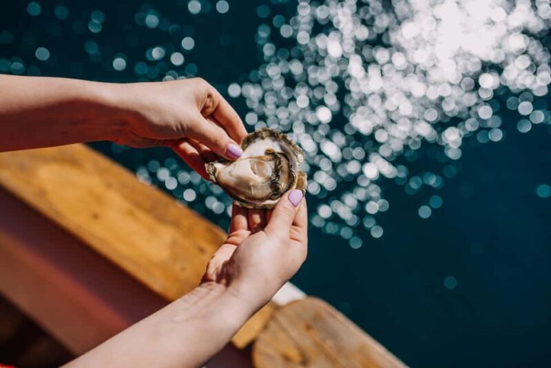 From Dubrovnik: Mali Ston Oyster Farm & Boat Experience - Exploring Croatia’s Coast: Mali Ston Oyster Farm & Boat Tour
