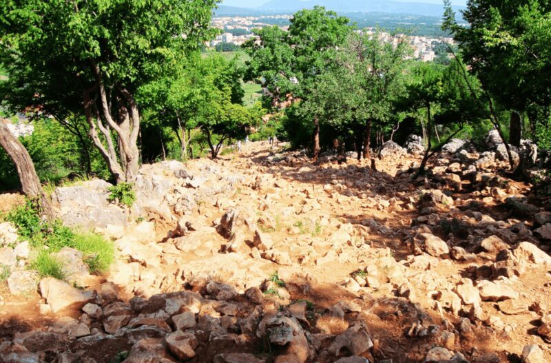 From Dubrovnik: Medjugorje Private Day Tour - Key Points