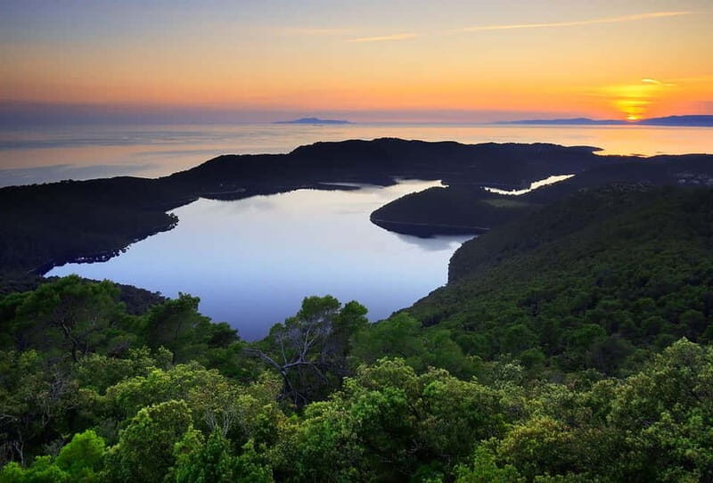 From Dubrovnik: Mljet Island Guided Catamaran Day Tour - Who Will Appreciate This Tour?