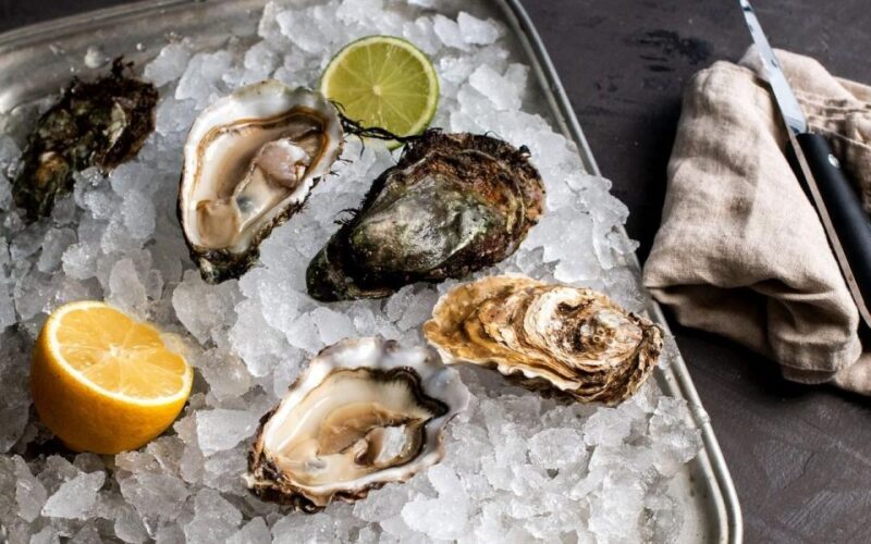 From Dubrovnik Oyster and Wine Tasting Tour in Ston Bay - Key Points