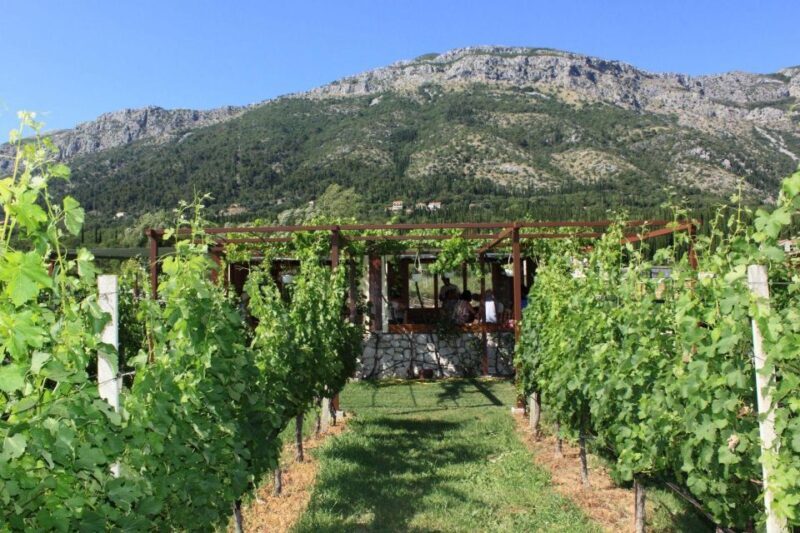 From Dubrovnik Oyster and Wine Tasting Tour in Ston Bay - The Cost and The Value