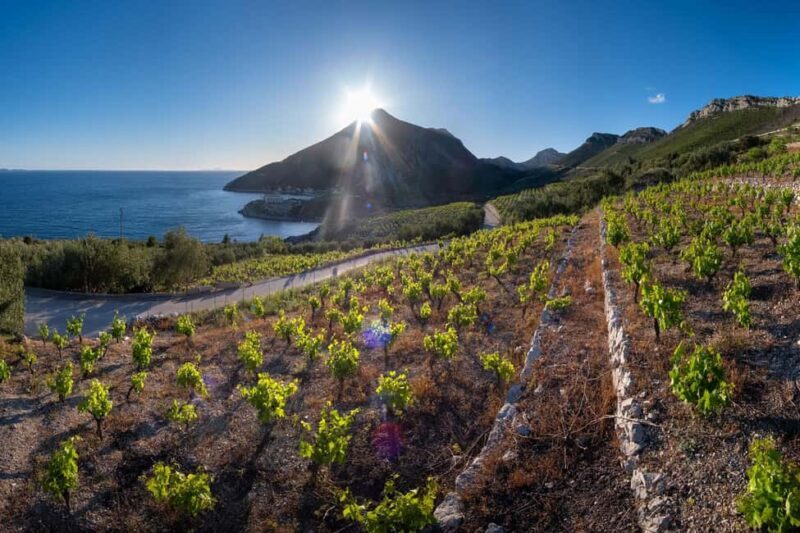 From Dubrovnik: Private Peljeac Wine Region and Ston Tour - Key Points