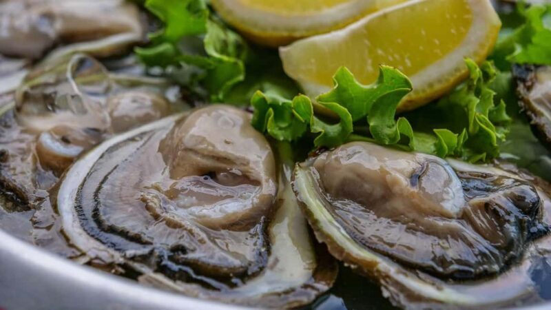 From Dubrovnik: Private Peljeac Wine Region and Ston Tour - Wineries and Wine Tasting: A Deep Dive into Local Flavors