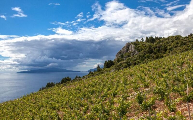 From Dubrovnik Private tour to Korula Island - How the Experience Measures Up