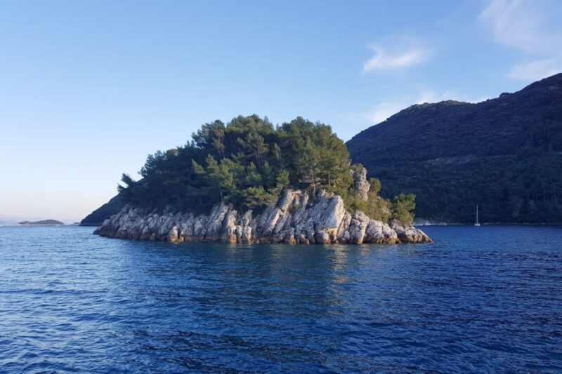 From Dubrovnik: Pvt Speedboat Cruise to Mljet&Sipanska Luka - The Value Proposition