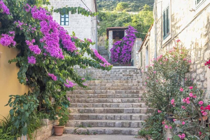 From Dubrovnik: Ston Town, Peljesac & Saltworks Private Tour - Transportation and Group Size