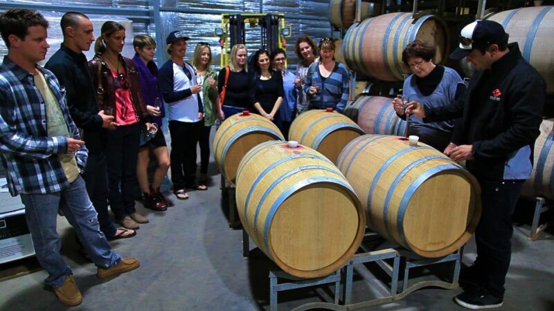 From Dunsborough/Busselton: Margaret River Wine Adventure - Key Points: