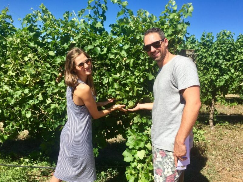 From Dunsborough/Busselton: Margaret River Wine Adventure - The Wine Blending Experience – A Creative Highlight