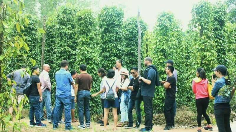 From Duong Duong Town: South Phu Quoc Island Tour with Lunch - Key Points