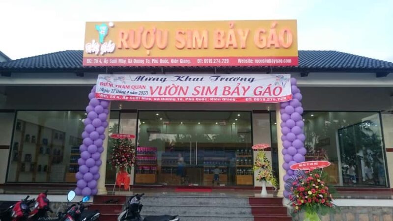 From Duong Duong Town: South Phu Quoc Island Tour with Lunch - A Full Breakdown of the Tour Experience