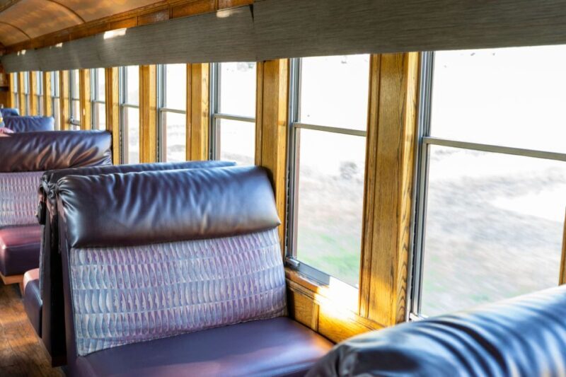 From Durango: All-Day Zipline Adventure with Train & Lunch - Who Should Consider This Tour?