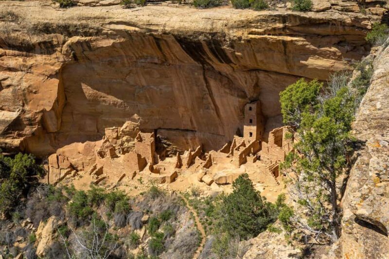 From Durango: Mesa Verde Express Tour & Cliff Palace Ticket - An In-Depth Look at the Tour Experience