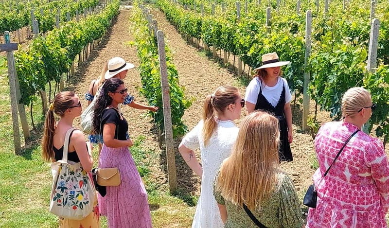 From Durres: Countryside Vineyards Wine & Food Tasting Tour - Key Points